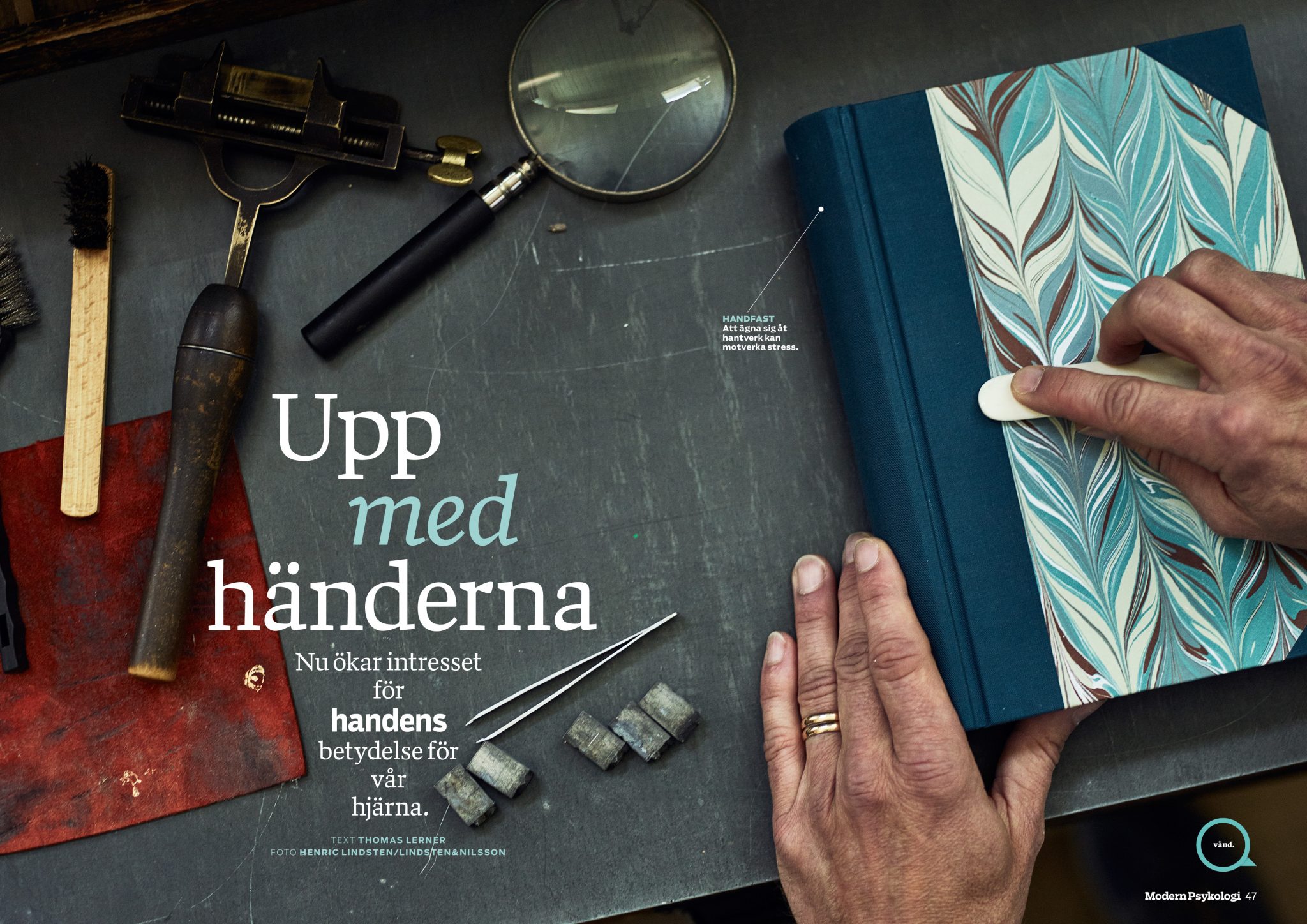 Så formade handen hjärnans utveckling - Modern Psykologi