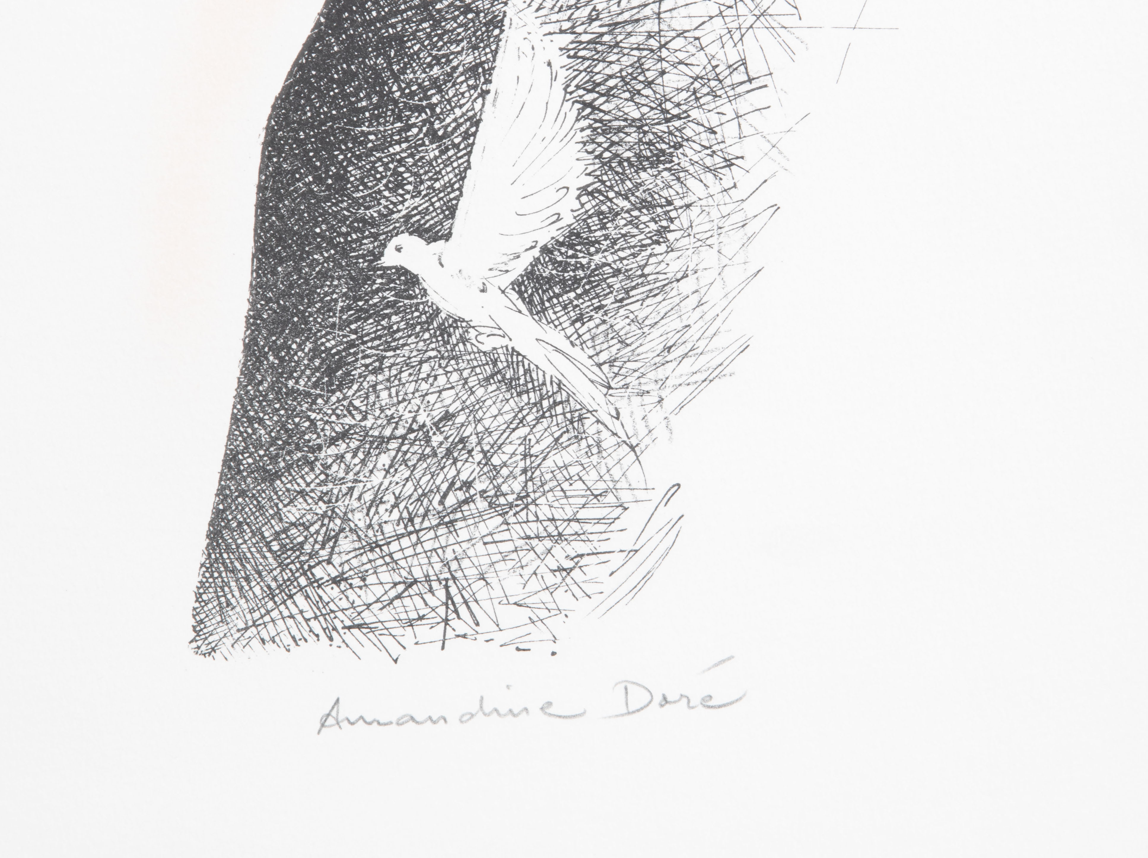 Four graphic works of Félix Labisse, Amandine Doré and Maxime Van De ...