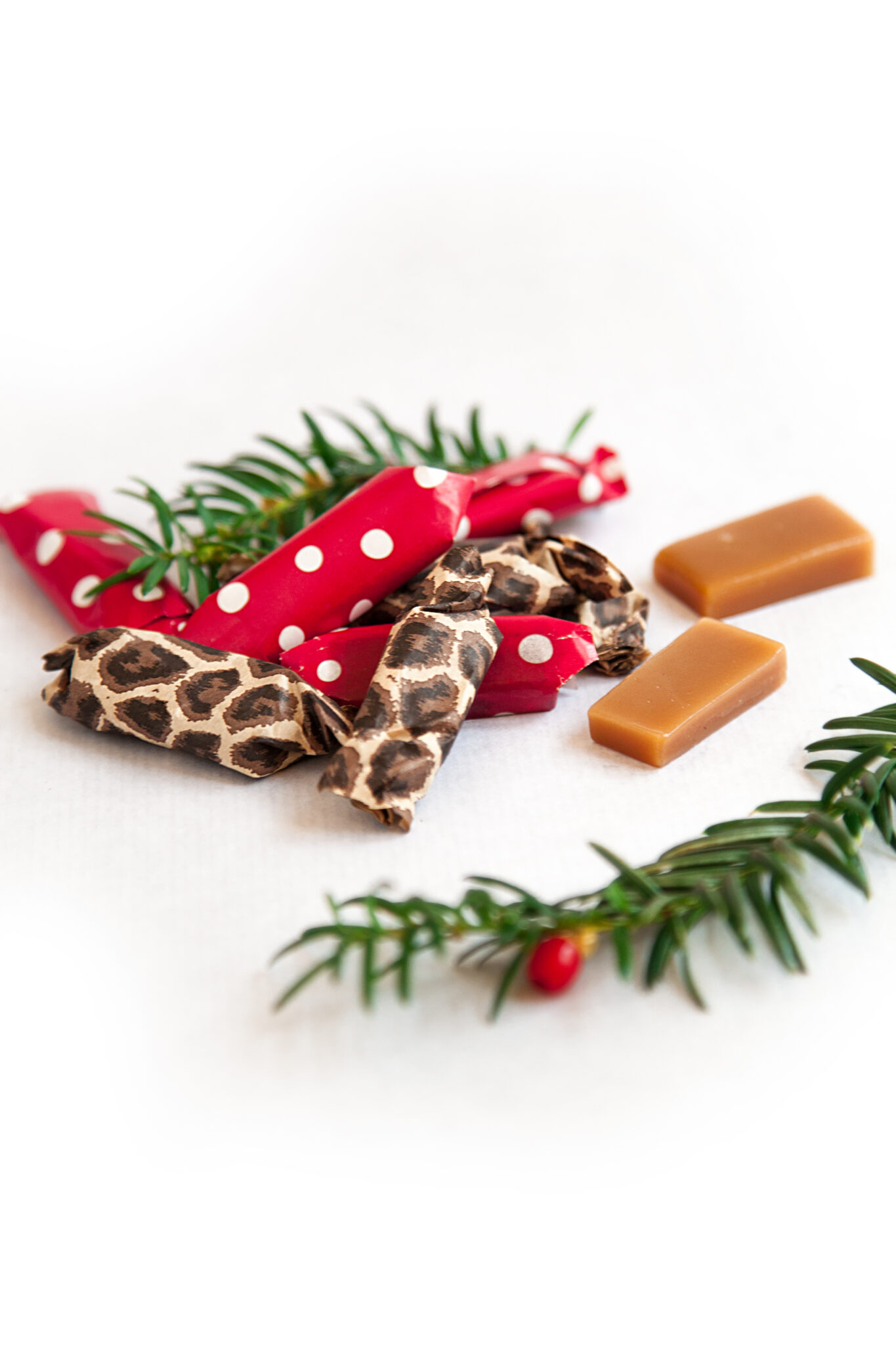 Julkola – Tasteline