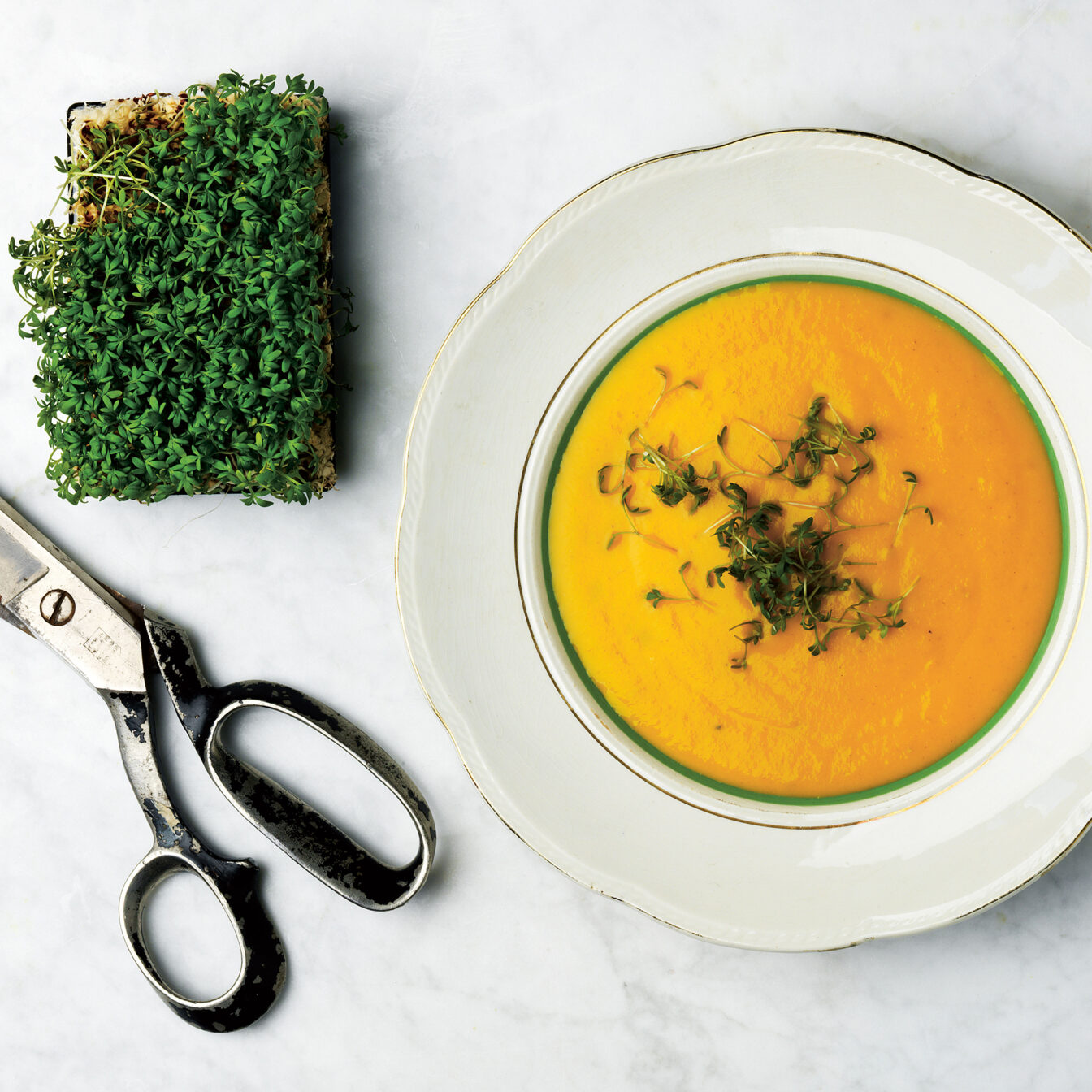 Vegetariska soppor – Tasteline