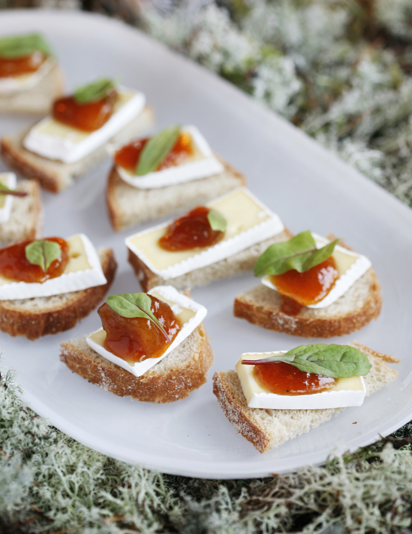 Franskindiska snitt – Tasteline