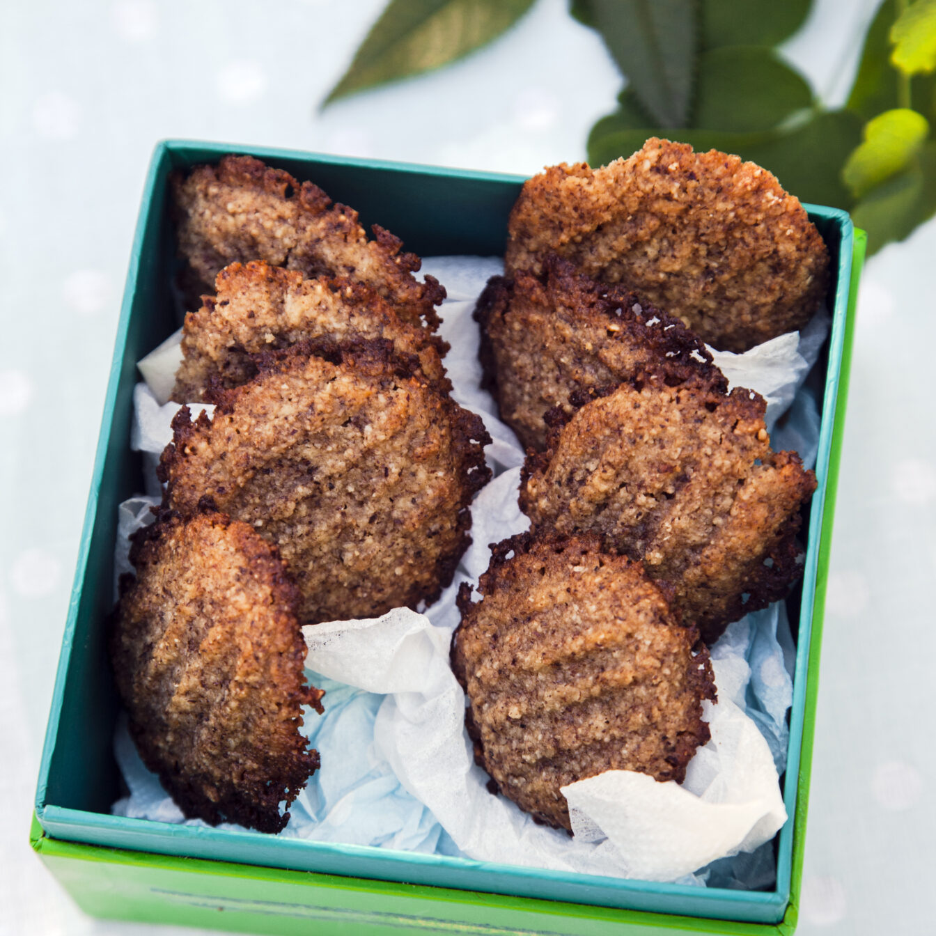 Jitterbugg – Tasteline