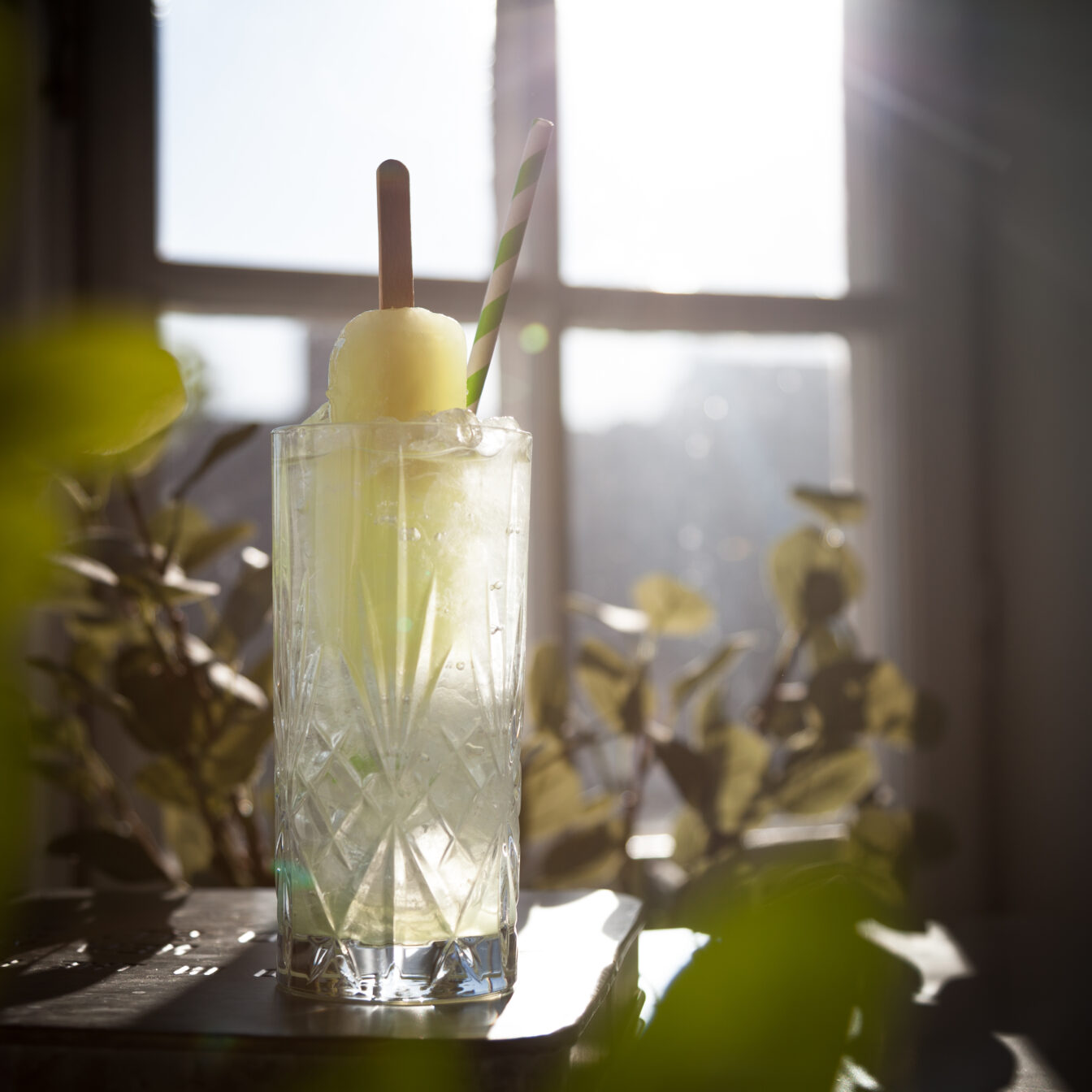 Piggelin – Tasteline