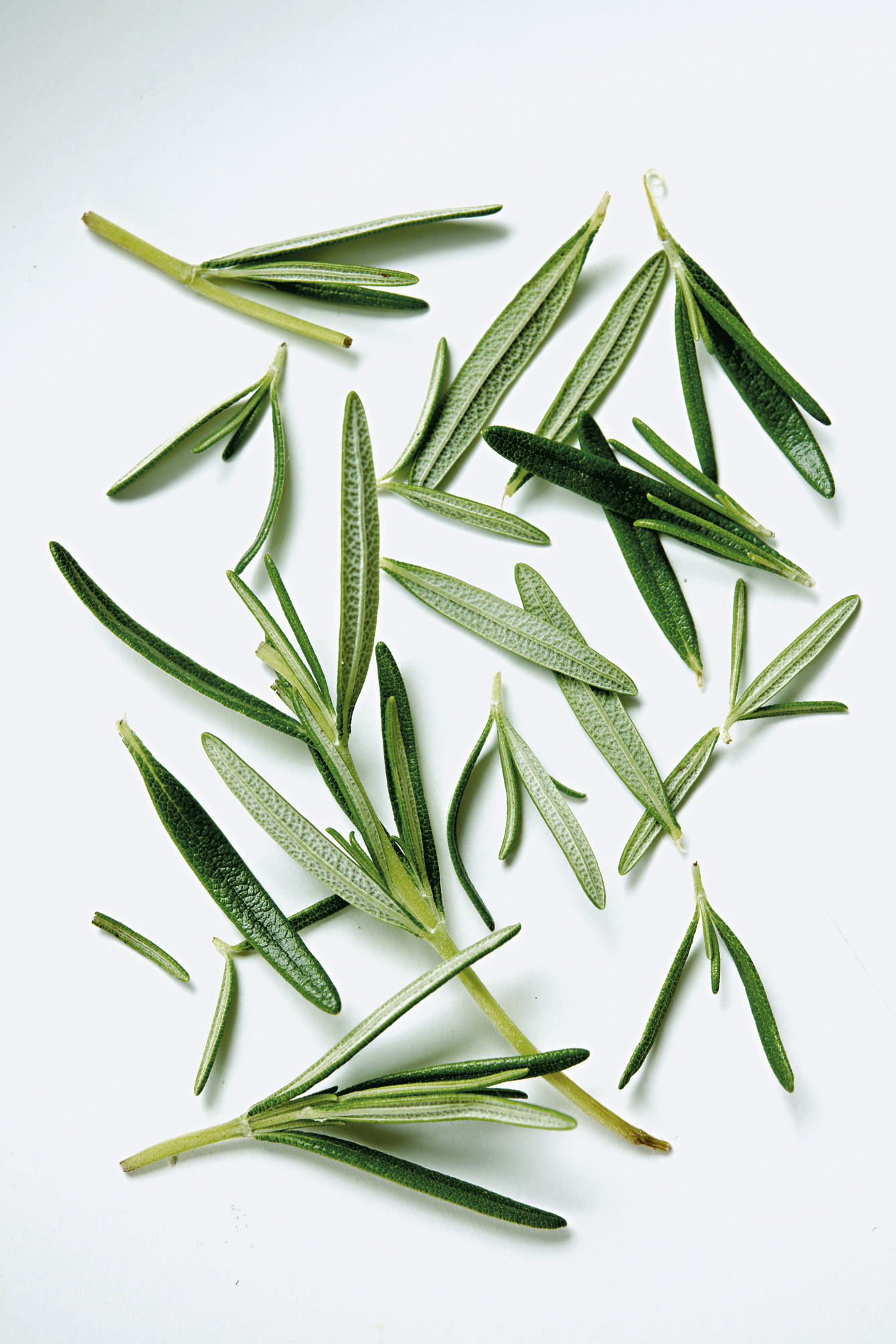 Recept med Timjan – Tasteline