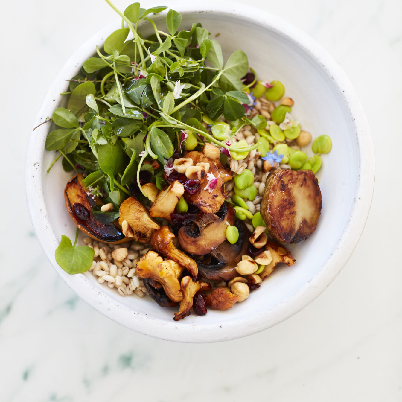 12 matiga sallader – Tasteline