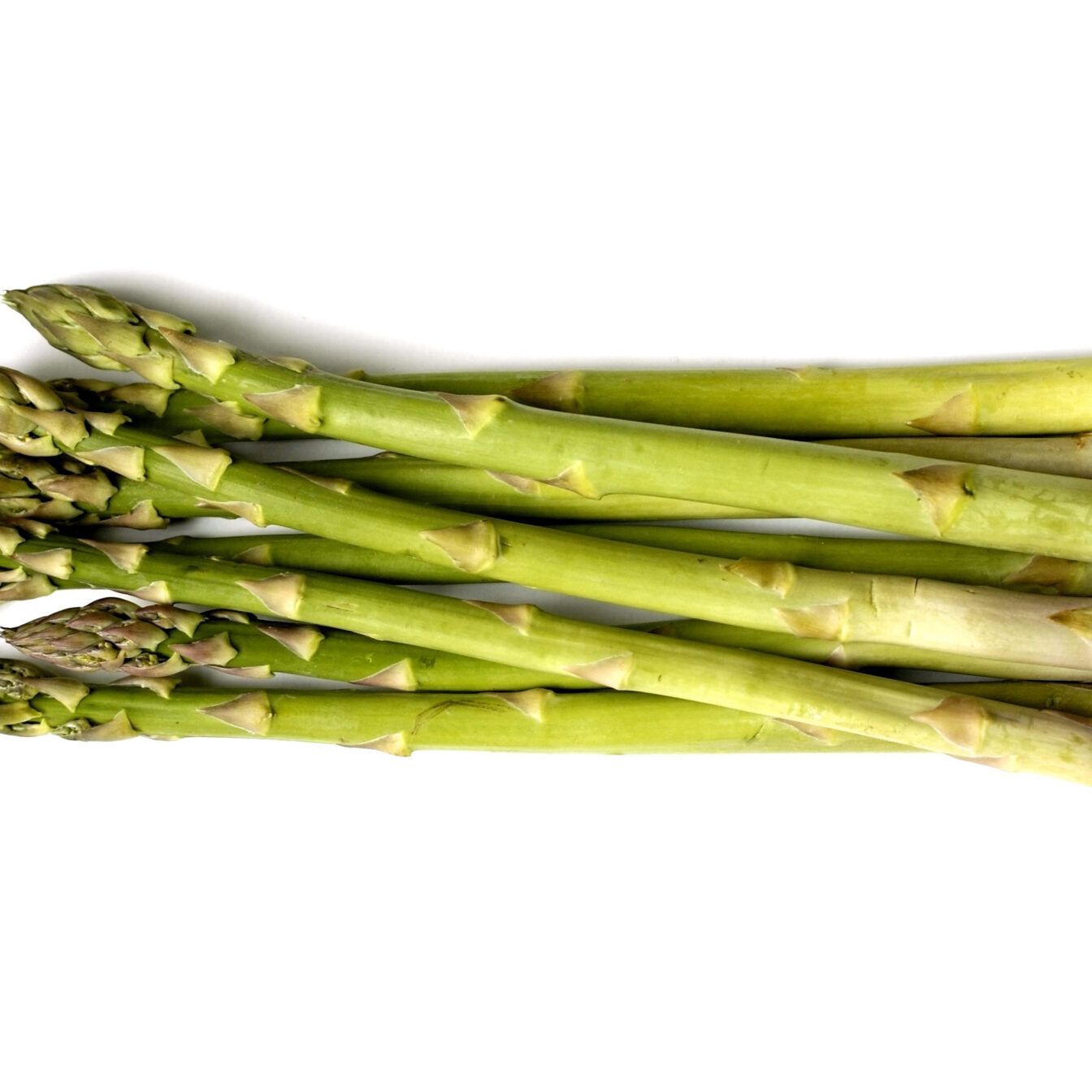 Stora sparrisskolan – Tasteline