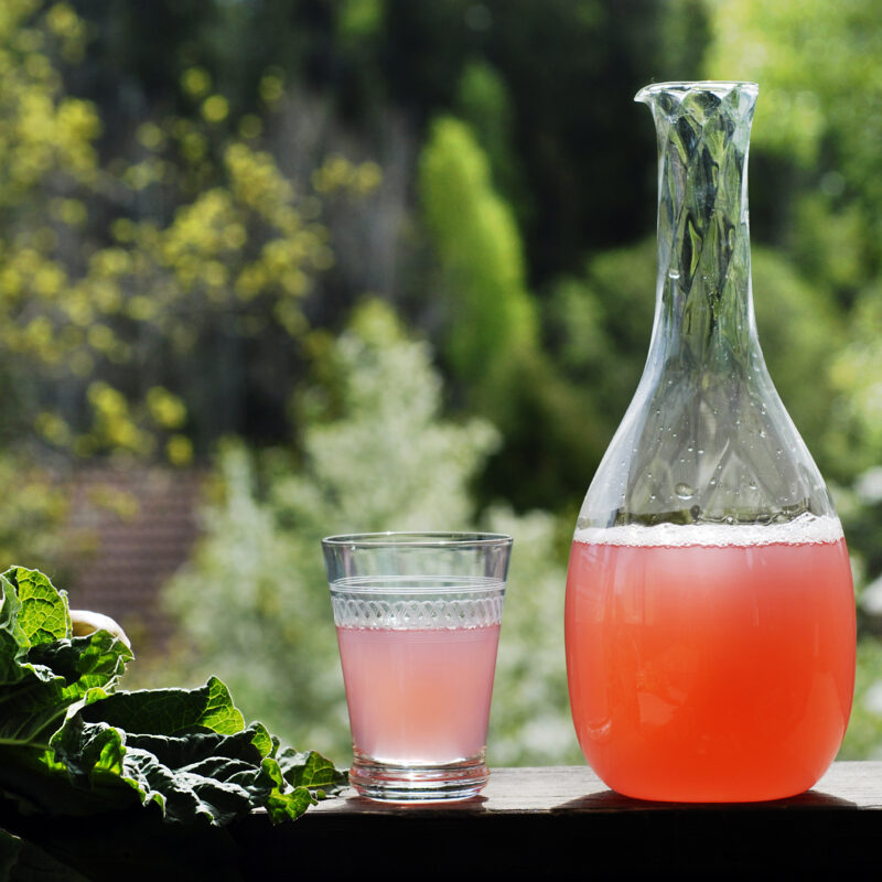 Rabarberskola – Allt om rabarber – Tasteline