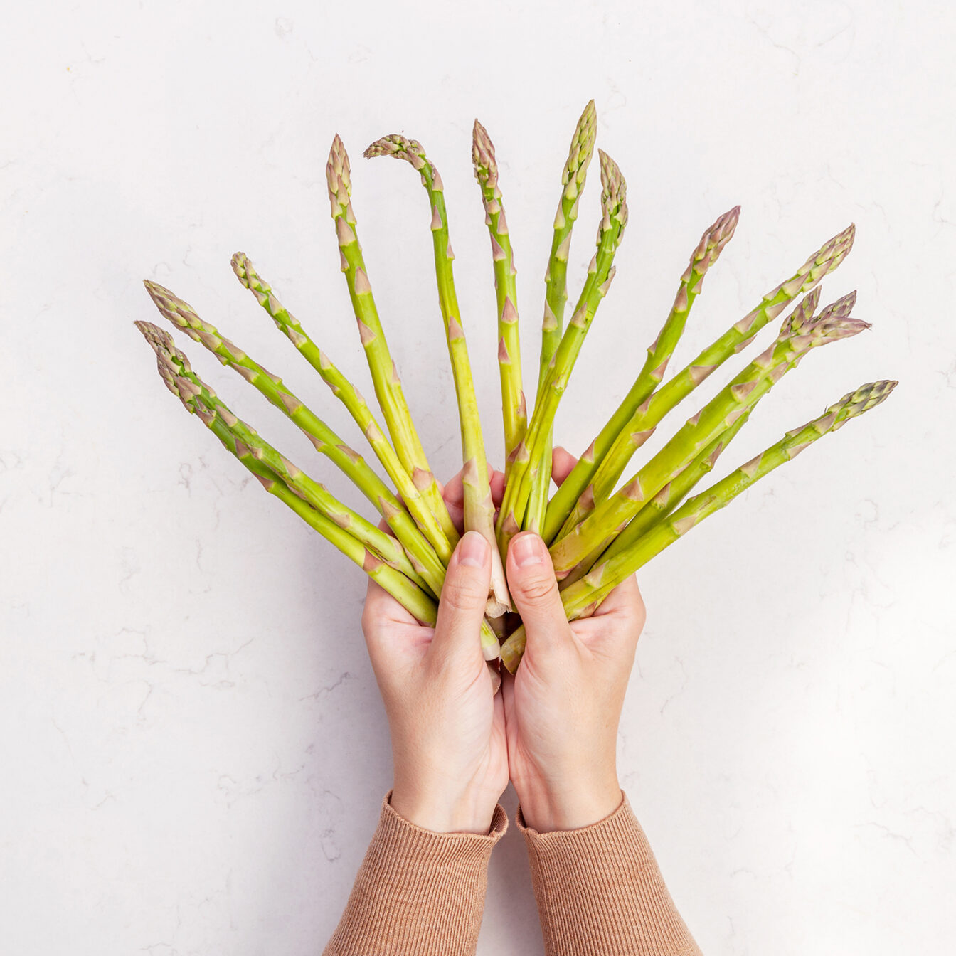 Primörer i fokus – Tasteline